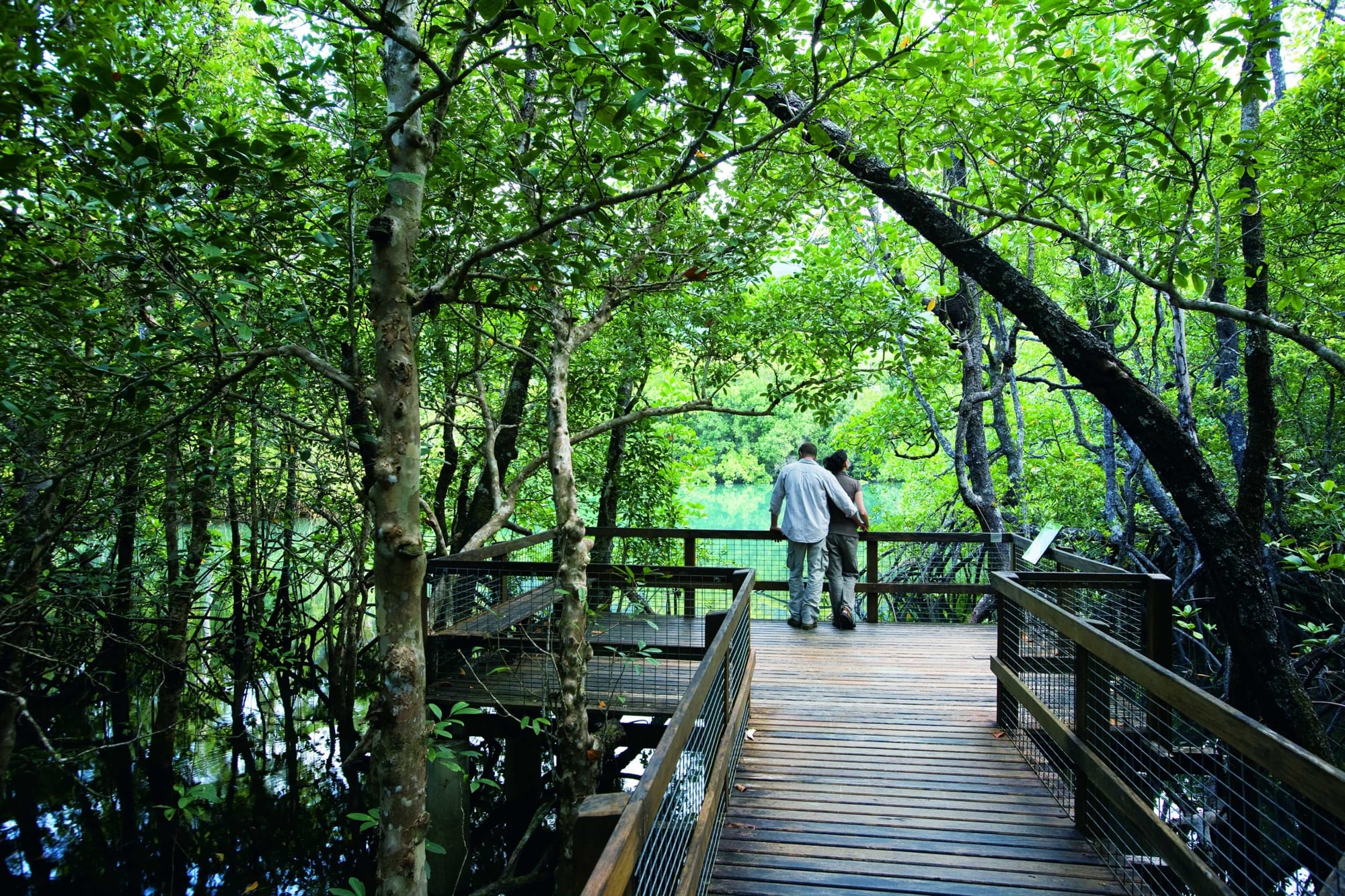Mossman Gorge – Indigenous Tour | Port Douglas Apartments